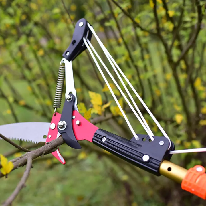 Extendable Tree Pruner Saw High-Altitude Branches Trimmer Pruning ...