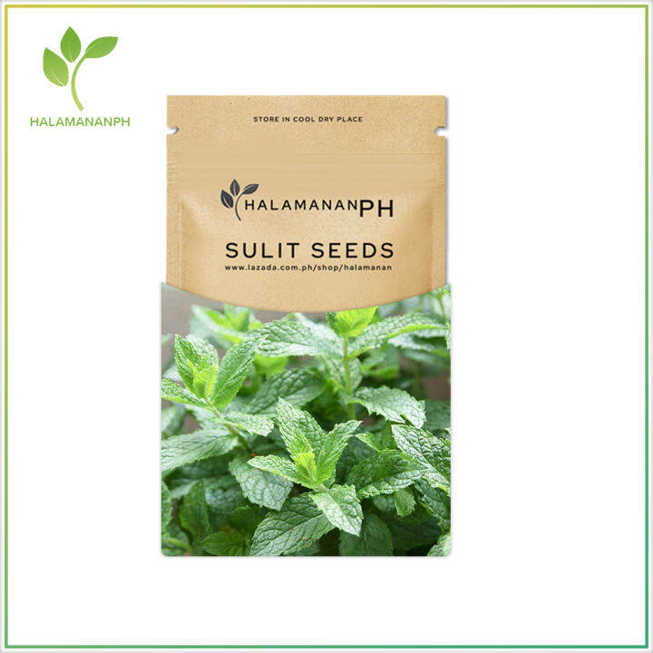 Mint - Spearmint | 100 Seeds | Premium Herbs Seeds | [Halamanan PH ...