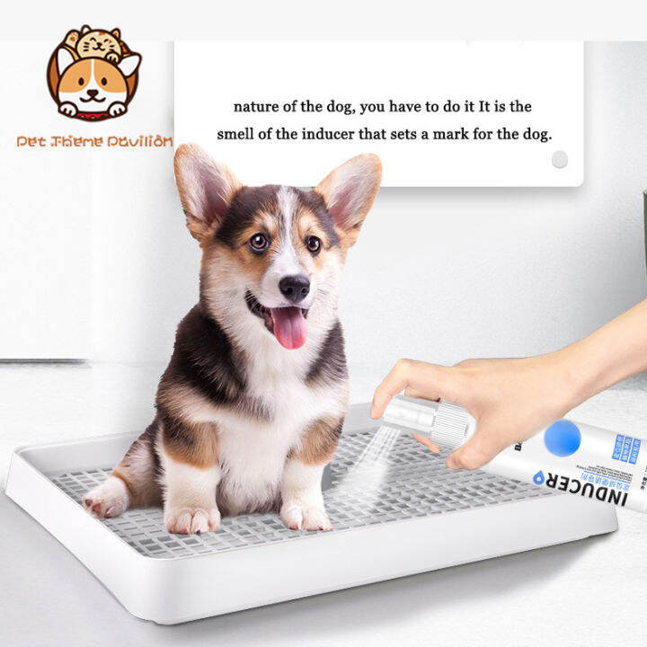 Borammy Pet Toilet Training for Dogs and Cats Inducer Spray Inducer ...