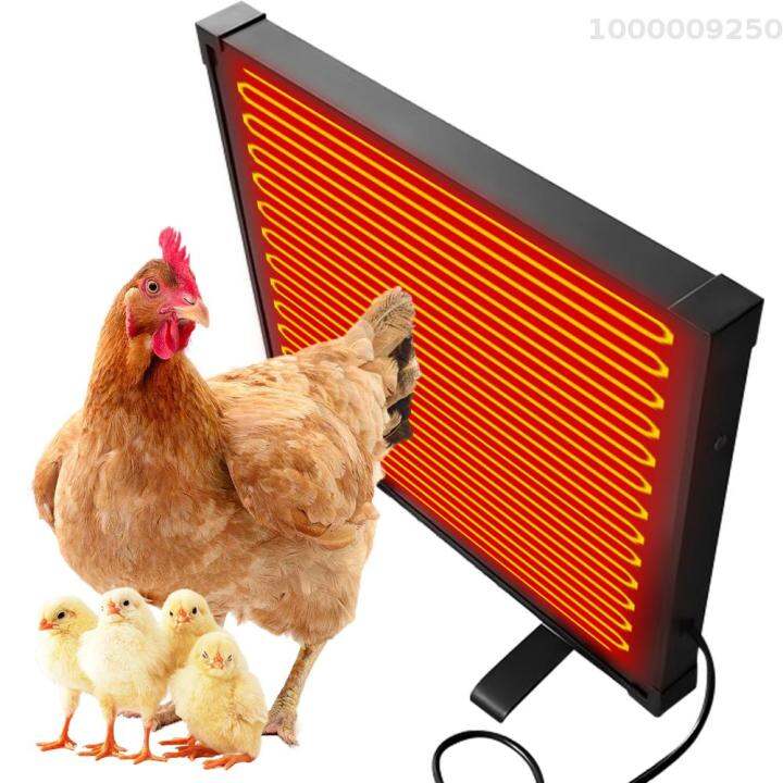 Chicken Coop Heater 145 Watts Radiant Heat Chicken Heater Energy ...