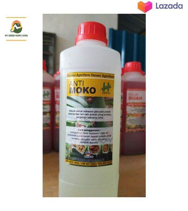 Anti Moko Penawar Penyakit Layu pada Pokok Pisang - Effective Anti-Moko ...