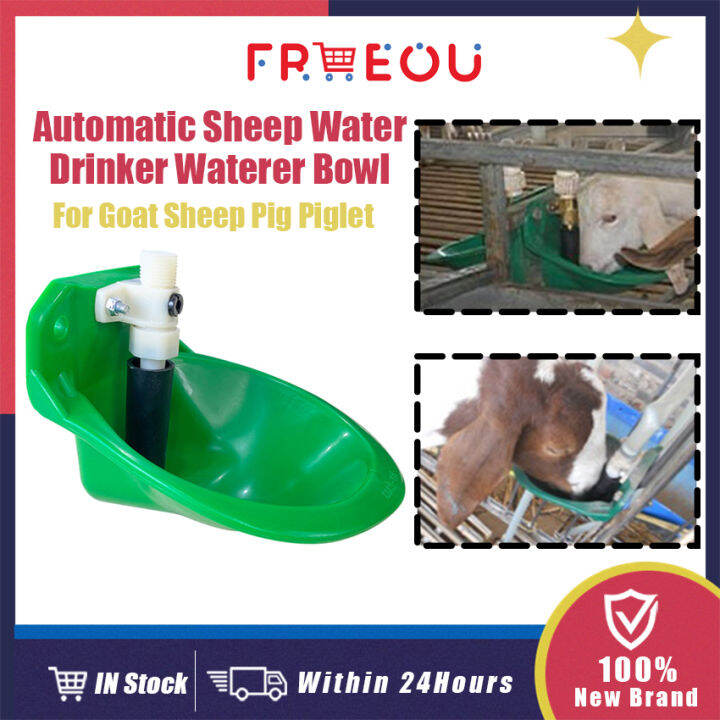 Automatic Sheep Water Drinker Bowl Plastic Waterer for Goat Sheep Pig ...