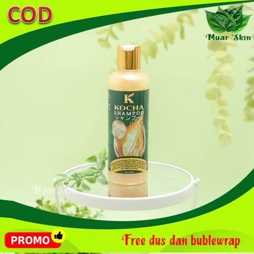 shampoo anti ketombe basah dan kering ampuh | Lazada Indonesia