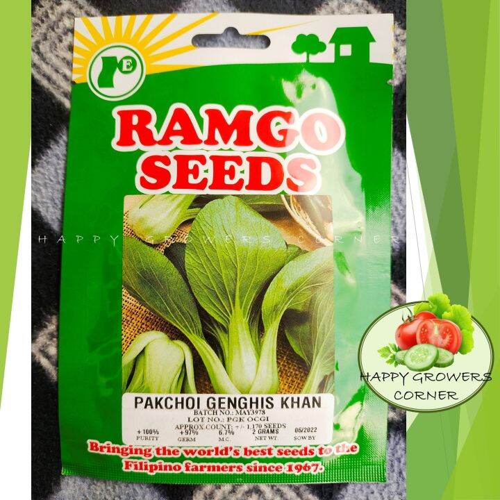 PAKCHOI GENGHIS KHAN (2 GRAMS) RAMGO SEEDS | Lazada PH