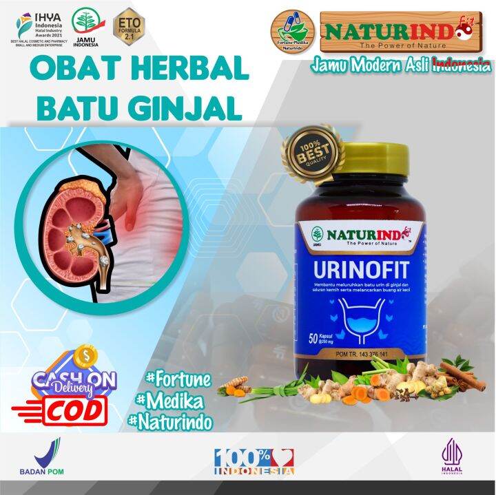 Obat Batu Ginjal Peluruh Batu Ginjal Ampuh Herbal Alami Naturindo BPOM ... Obat Batu Ginjal Peluruh Batu Ginjal Ampuh Herbal Alami Naturindo BPOM ...