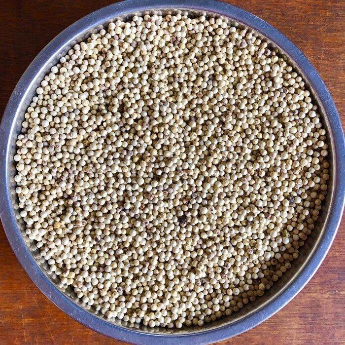 Lada Putih Butir | White Pepper | Merica Butir | 250gr | 500gr | Lazada ...
