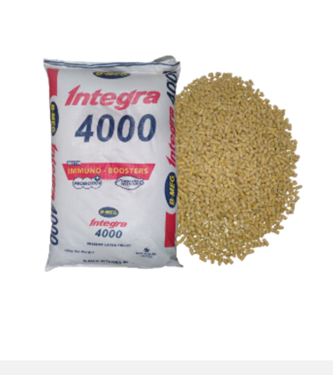 Integra 4000 | Lazada PH