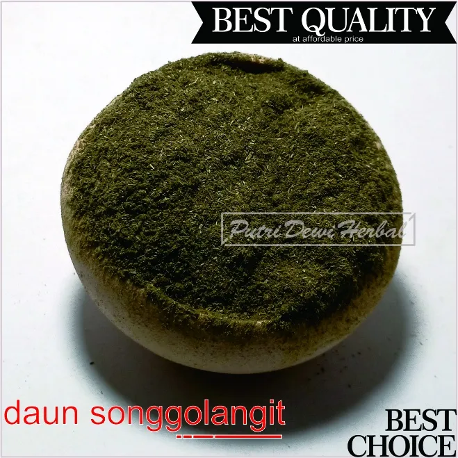 Daun Songgolangit Bubuk 1 Kg - 1000 Gram - Tridax procumbens L. Gletang ...