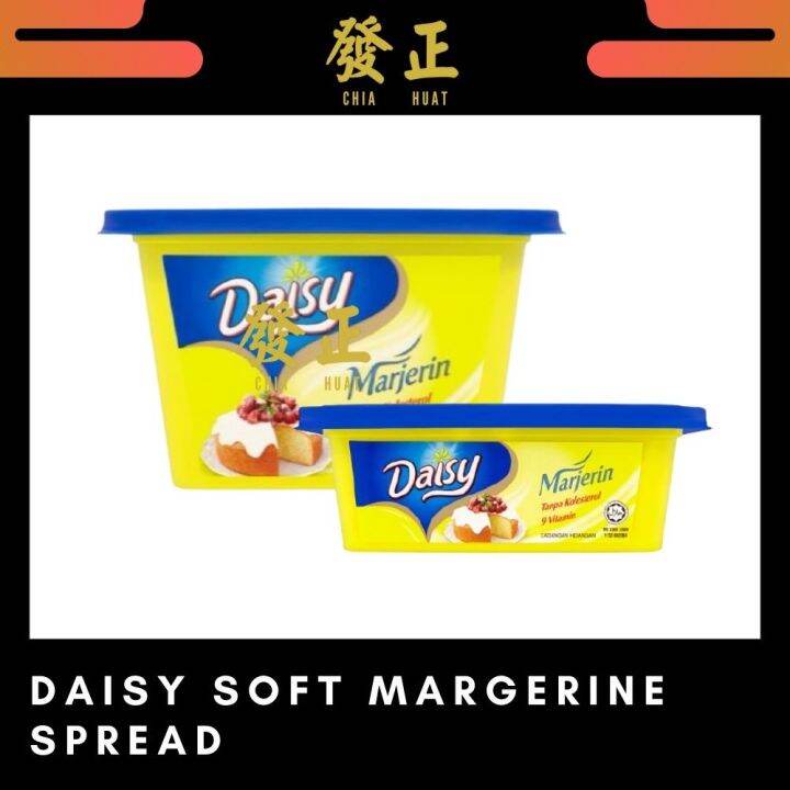 Daisy Soft Margarine Spread 240g / 480g | Lazada