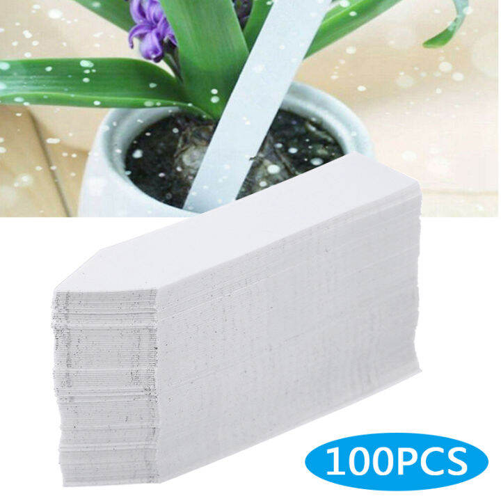 BOKALI 100Pcs พลาสติกฉลากเมล็ดพืชมาร์กเกอร์ติดข้อมูลต้นไม้ Garden ...