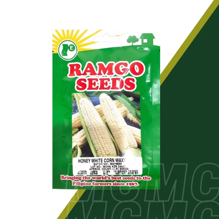 Honey White Corn Waxy Ramgo Seeds | Lazada PH