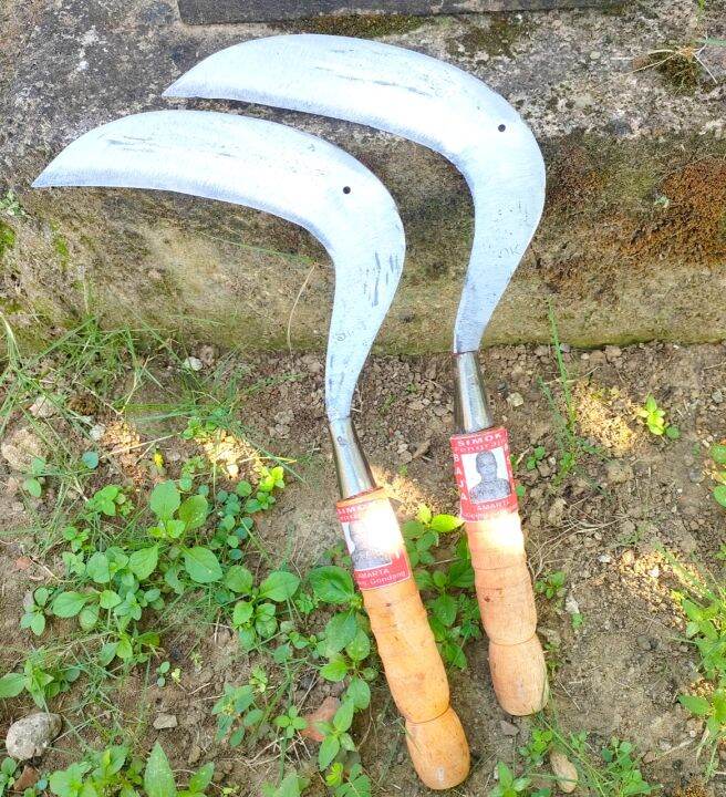 Sabit pengaritan baja asli super tajam asli jawa -sabit pemotong rumput ...