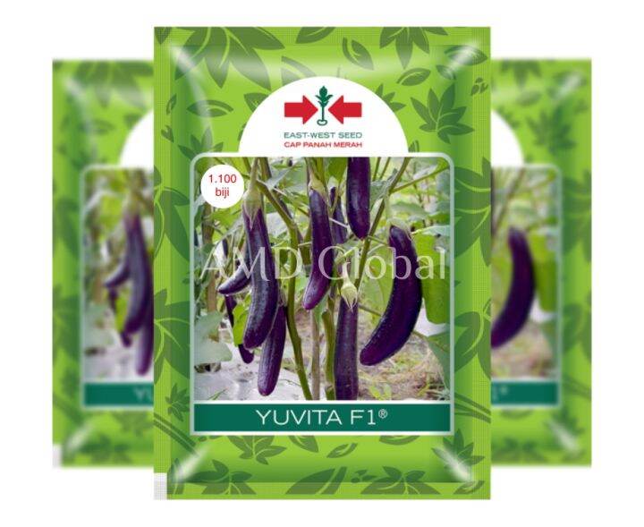 Benih Terong Yuvita F1 Cap Panah Merah Isi 1.100 Biji | Lazada Indonesia
