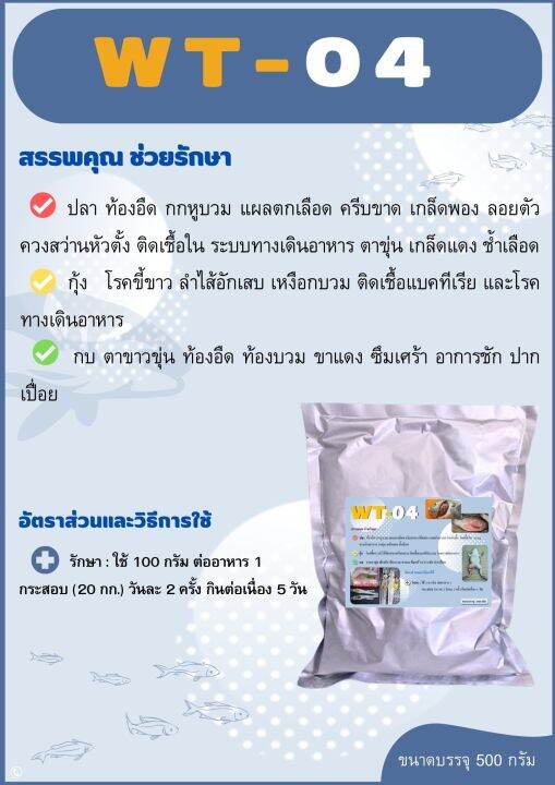 WT-04/รักษาปลา/แผลตกเลือด/กกหูบวม/ | Lazada.co.th