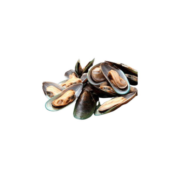 Chilean Mussels (Half Shell) 1 KG | Lazada PH