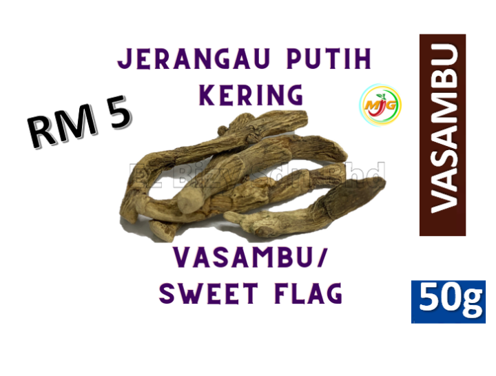 Jerangau Putih Kering / Vasambu / Sweet Flag - 50g | Lazada