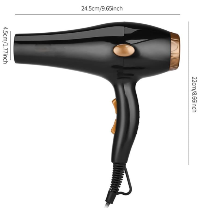 Hair Blower Dryer With Plantsa 2200W Blower Hair Salon High Power ...
