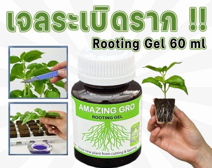 Amazing Gro Rooting Gel เจลสำหรับเร่งรากตอนปักชำ | Lazada.co.th