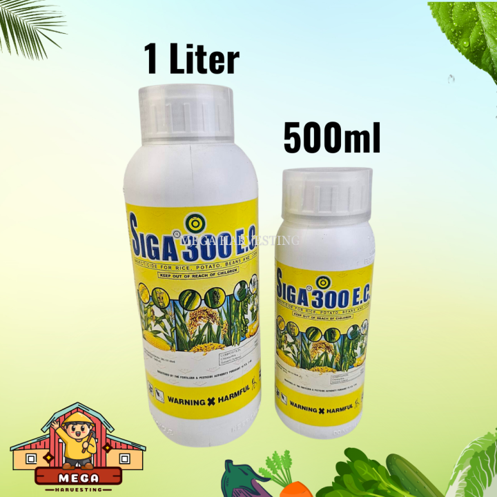 SIGA 300 EC 1L 500ML INSECTICIDE FOR CROPS RICE CORN POTATO BEANS KILL ...