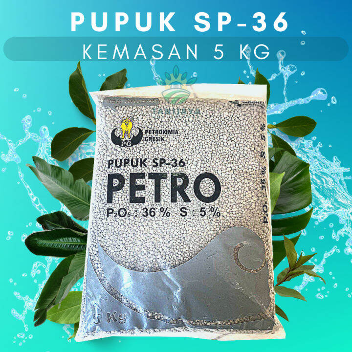 Pupuk SP-36 PETRO Original Kemasan Repack 5 KG Murah Penambah Unsur Hara Phosphor | Lazada Indonesia