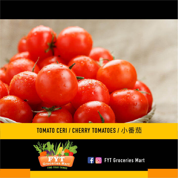 FYT GROCERIES - VEGETABLES - CAMERON CHERRY TOMATO / 金马伦小番茄 (250g) | Lazada