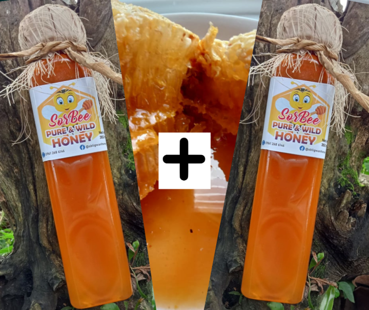 Buy 1 Take 1 Sorsogon's Best Pure Raw Wild Forest Uncultured Unheated Unpasteurized Honey 350ml ...