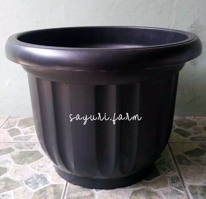 Pot Besar gloria ukuran 50cm warna hitam / tabulampot / Pot besar ...
