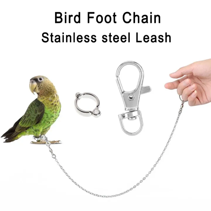 Parrot bird chain Flying Stainless Steel Training Rope W/ training bird ...