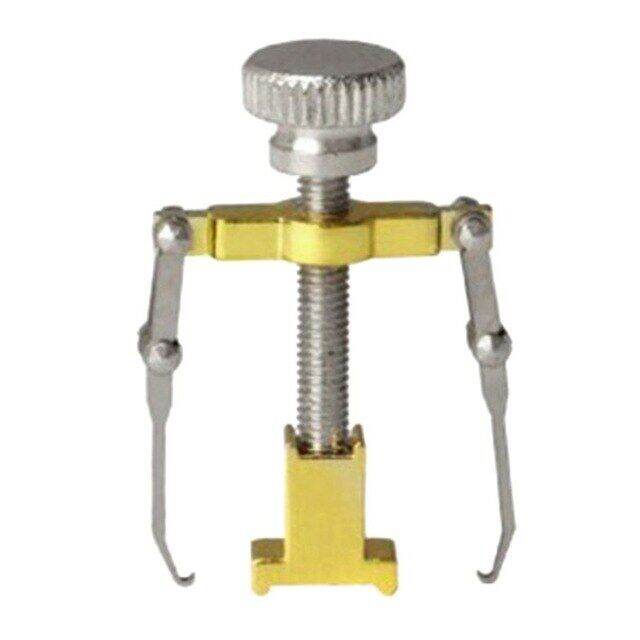 Professional Ingrown Toe Nail Corrector Pedicure Fixed Orthopedic ...