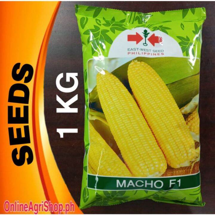 Factory direct sales of new products MACHO F1 HYBRID SWEET CORN SEEDS 1 ...