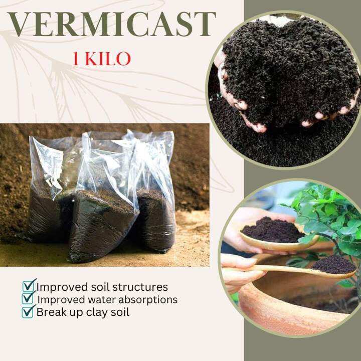 VERMICAST SOIL 1KILO ORGANIC FROM KAHARIAN FARM | Lazada PH