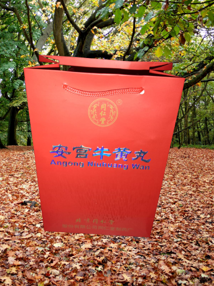 TAS Angkung Angong Anggong | Lazada Indonesia