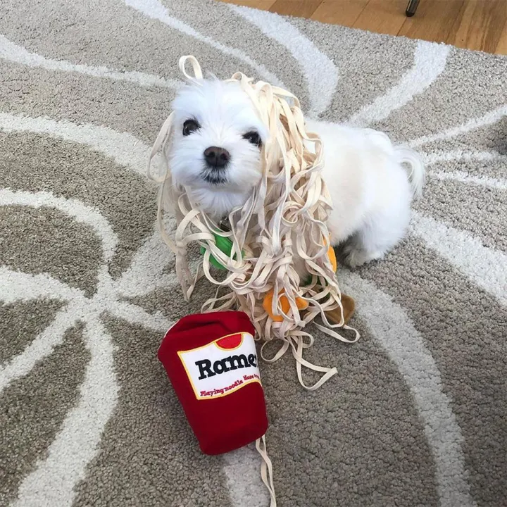 2022 New Interactive Ramen Dog Toy Nose Job Noodle Smell Cup Food Toy ...