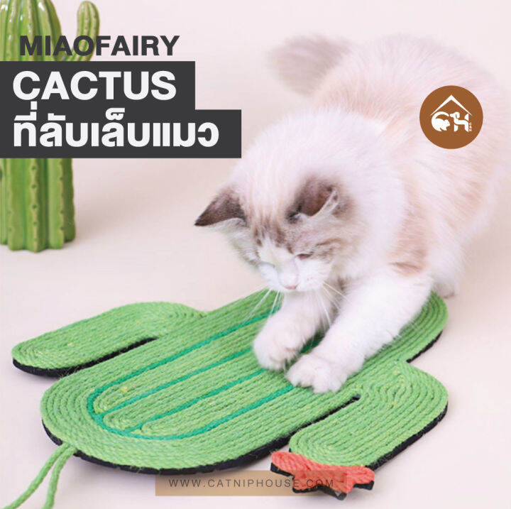 [ของแท้]🔥ถูกสุด! พร้อมส่ง🔥MIAOFAIRY CATCUS ที่ลับเล็บ สำหรับน้องแมว | Lazada.co.th