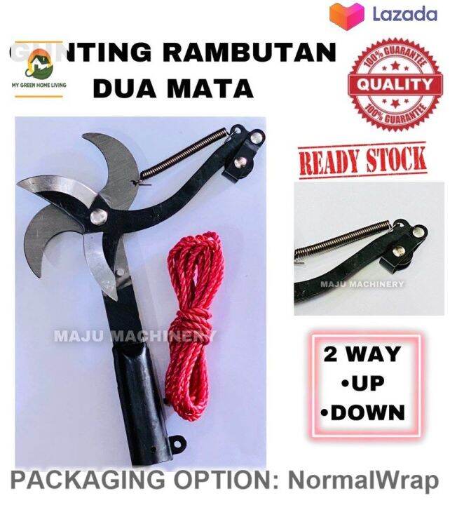 Double Cutter Pruner for Rambutan Fruit - Efficient Pruning Tool for ...