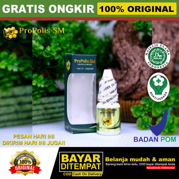 Obat Herbal Propolis Brazilian ASLI Segala Penyakit Benjolan Lipoma Uci ...
