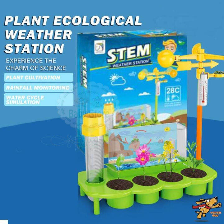 STEM Science Plant Ecological Weather Station | Lazada