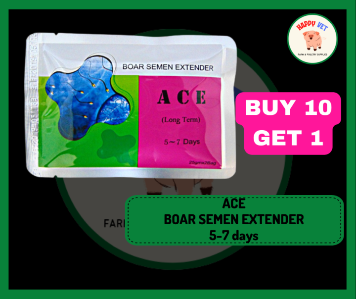 10+1 ACE Boar AI Extender Ace 5 to 7 days medium term pig artificial ...