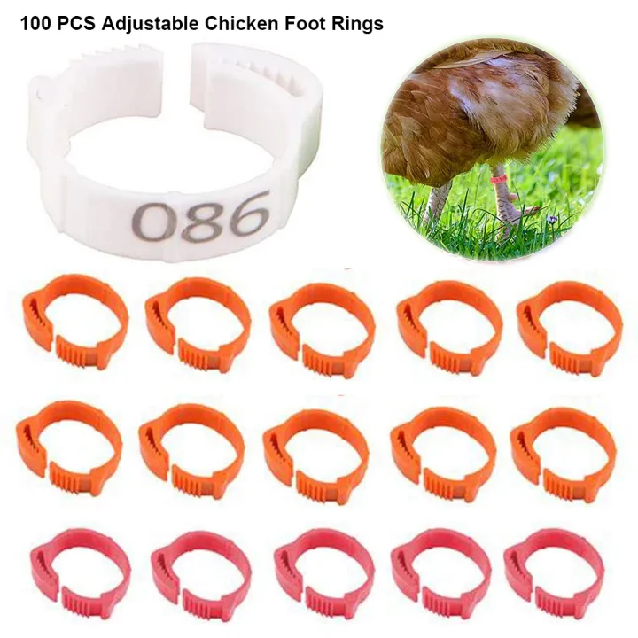 100 PCS Chicken Leg Rings Adjustable Numbers Poultry Leg Bands Bird ...