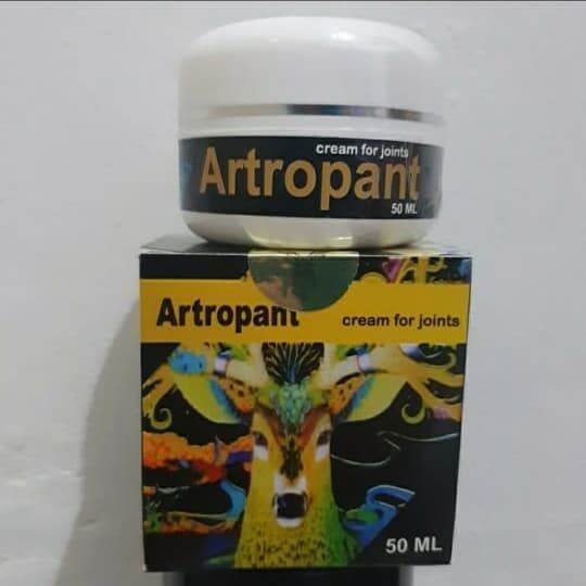 OBAT ARTROPANT CREAM - ARTROPAN ASLI UNTUK MASALAH SENDI DAN TULANG ...