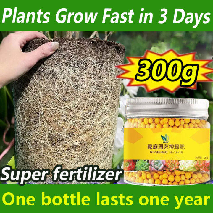 Organic Fertilizer Vegetable Plants Rooting Powder for Plants Rooting ...