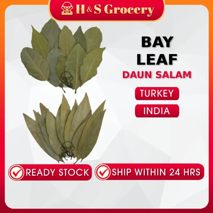 Dried Bay Leaf (Turkey / Turkish / India / Indian) / Daun Salam / Daun ...