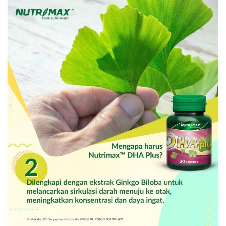 Nutrimax DHA Plus - 30 Capsules Nutrisi Otak Mengandung DHA dan Ginkgo ...