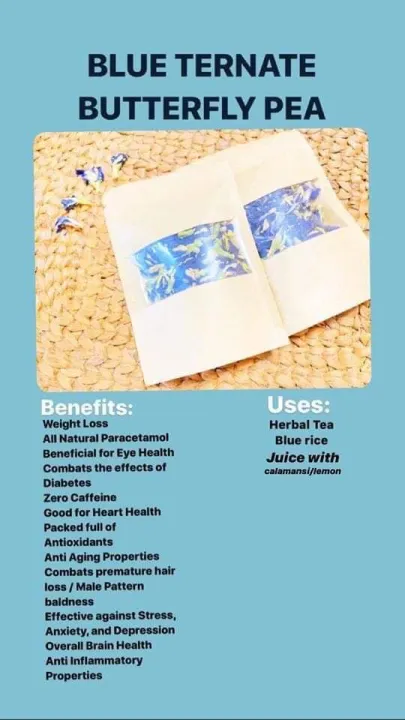 Blue ternate Butterfly pea | Lazada PH