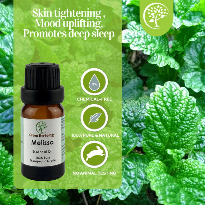 Pure Melissa (Lemon Balm) Essential Oil 10ML | Lazada