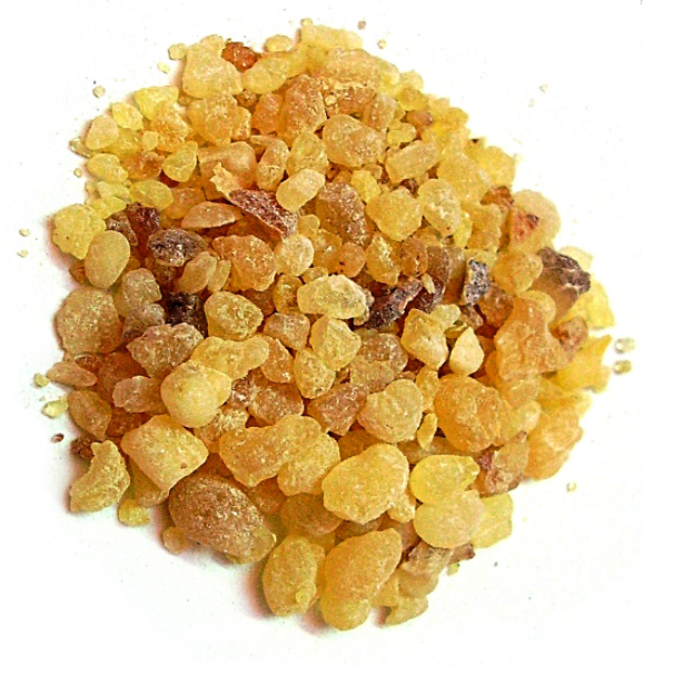 INSENSO 500 GRAMS | Lazada PH