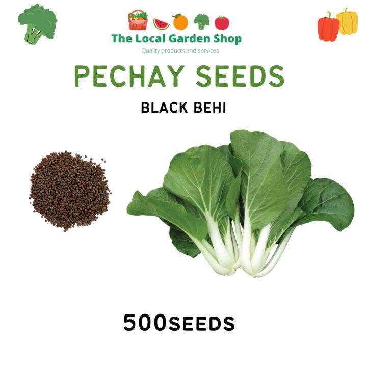 PECHAY SEEDS / PAVITO VARIETY - 500pcs Seeds | Lazada PH