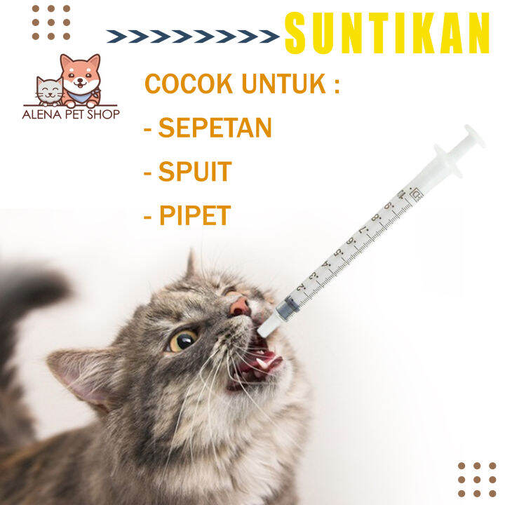 Spet, Spuit, Pipet suntikan untuk obat dan vitamin anabul | Lazada ...