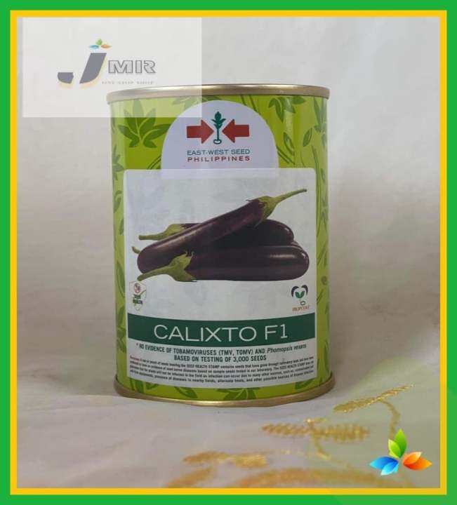 East West Eggplant Calixto F1 Can (25 grams) | Lazada PH