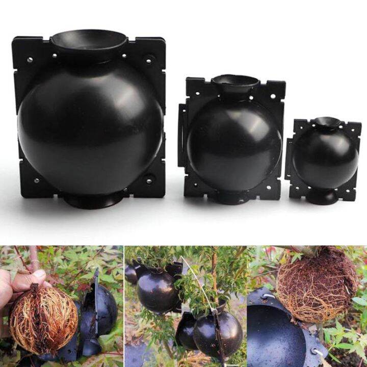 5cm 8cm 12cm Plant Rooting Ball Case Fruit Tree Root Box Planter Cases ...